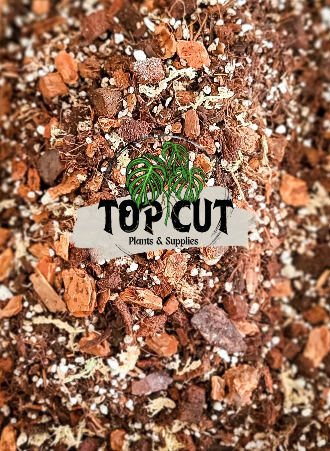 Top Cut Plants & Supplies